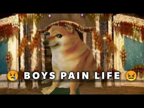 Boys pain life whatsApp status tamil| Cheems version| mervin |cheemstv ...