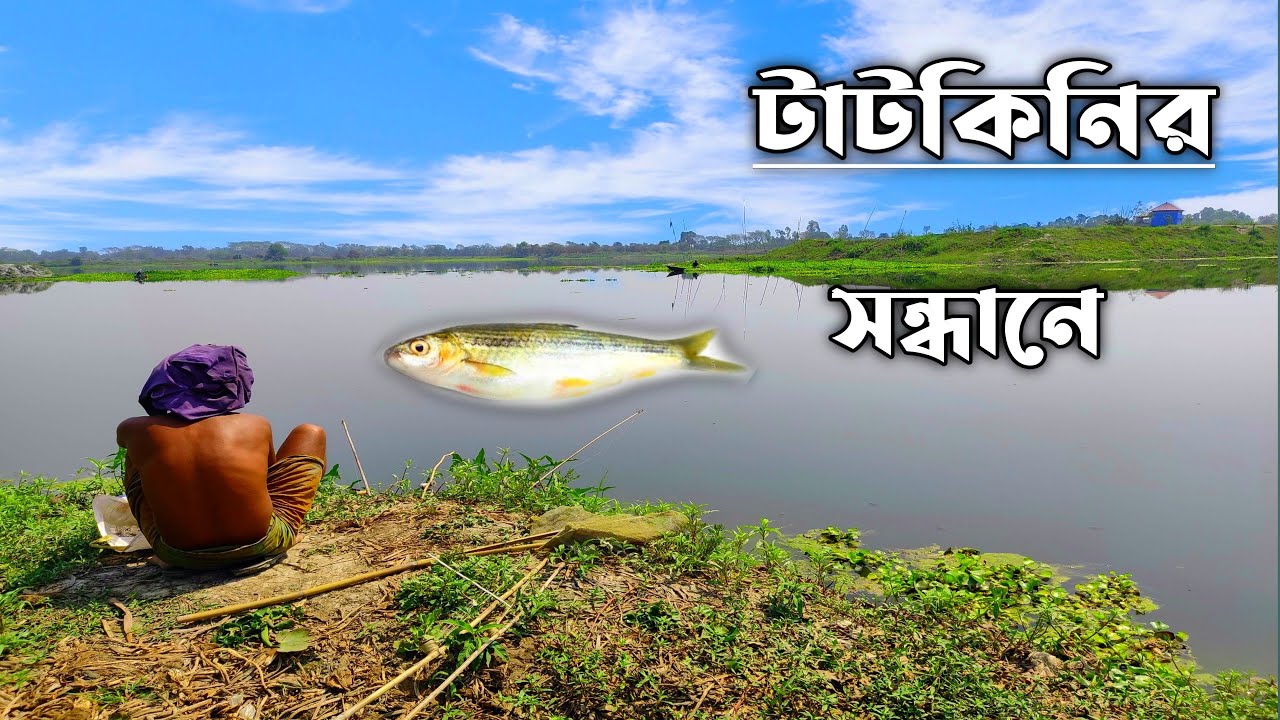 তেঁতুল তলা কুমে টাটকিনি মাছ শিকারের অভিযান | Amazing River Fish Hunting ...
