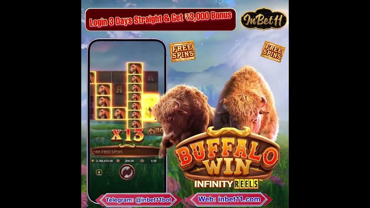 Buffalo Win Infinity Reels Slot 🎰 | Endless Excitement at Inbet11.com! 💰 #indiancasino - YouTube