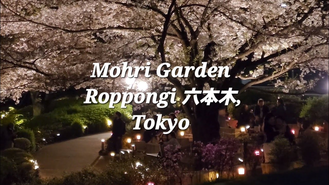 Mohri Garden, Roppongi 六本木, Minato City, Tokyo, Japan - YouTube