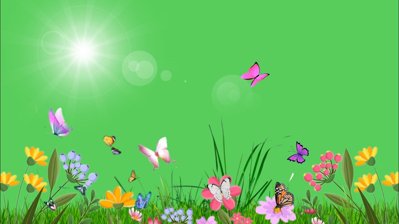 flower garden green screen video | flower butterfly green screen ...