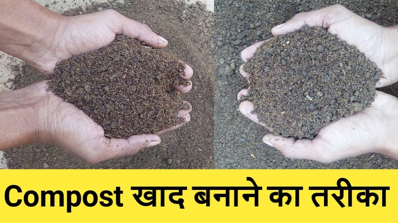 कम्पोस्ट खाद बनाने की विधि | Compost khad banane ki vidhi | जैविक खाद ...