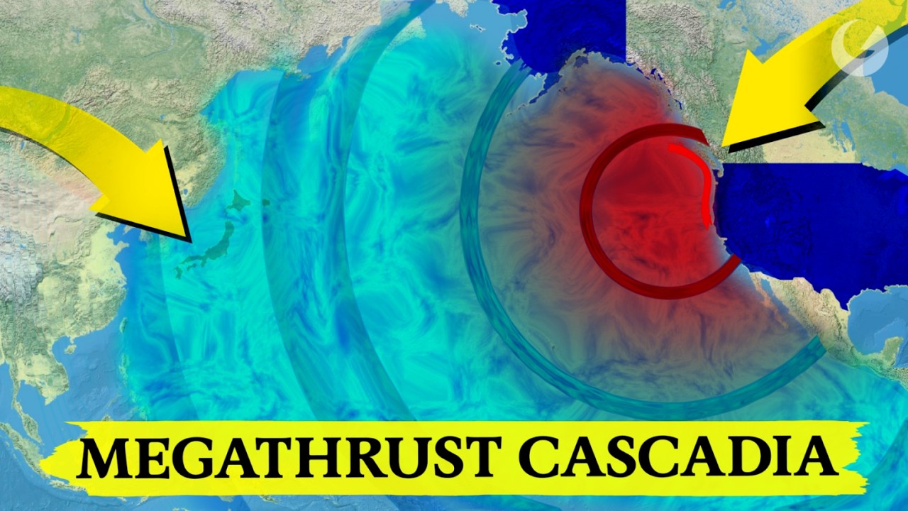 Semengerikan Apa Simulasi Gempa Megathrust di Amerika Serikat? - YouTube