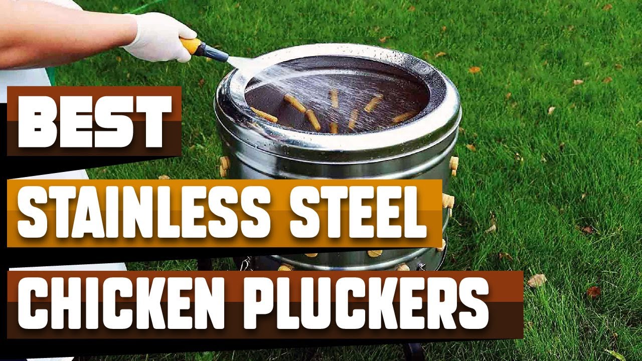 Most Amazing Stainless Steel Chicken Pluckers in 2025 - YouTube