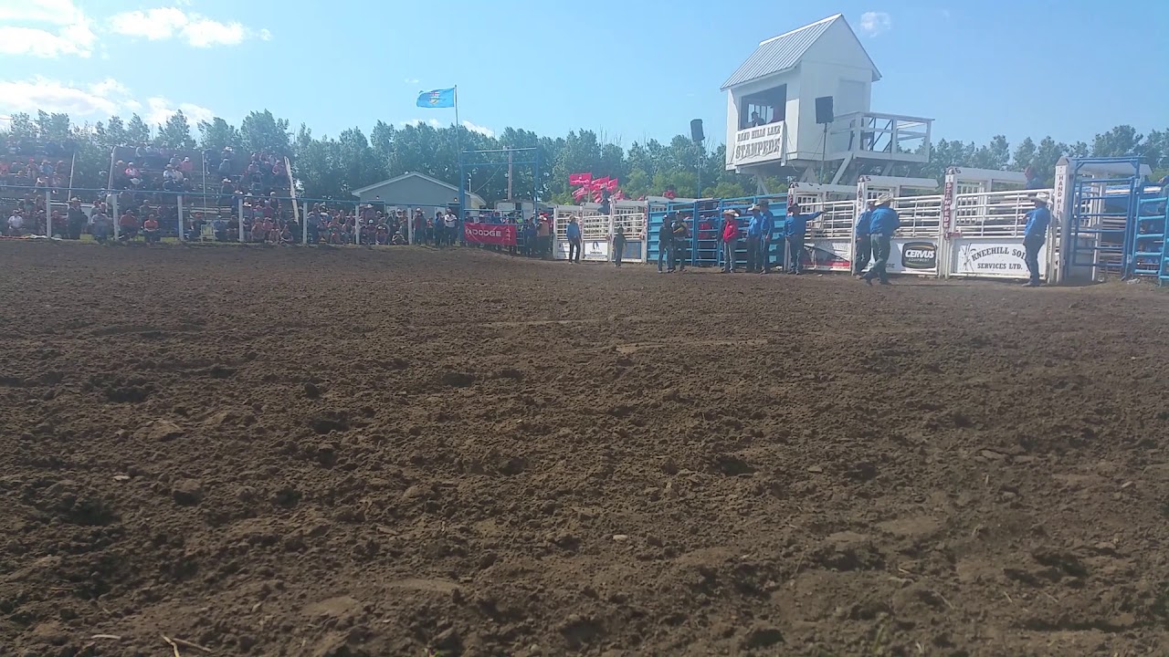 Brody in the Handhills Stampede Wild Pony Race - YouTube