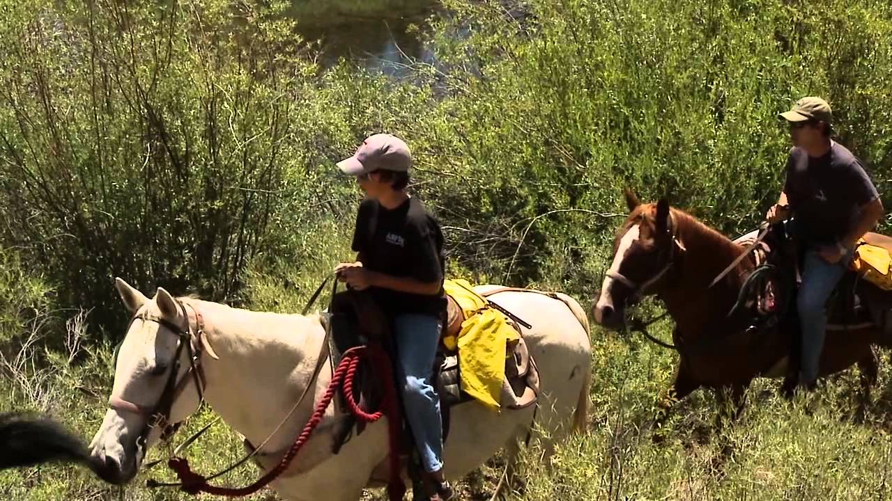 Horseback Riding - YouTube