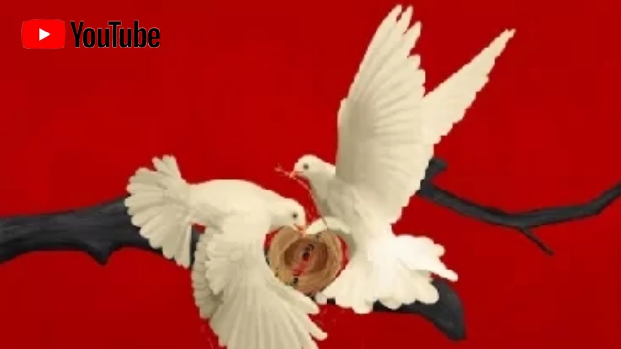 MAHARANI SONG 🧿 (sultan Mansuri) (video song) (like and subscribe and ...