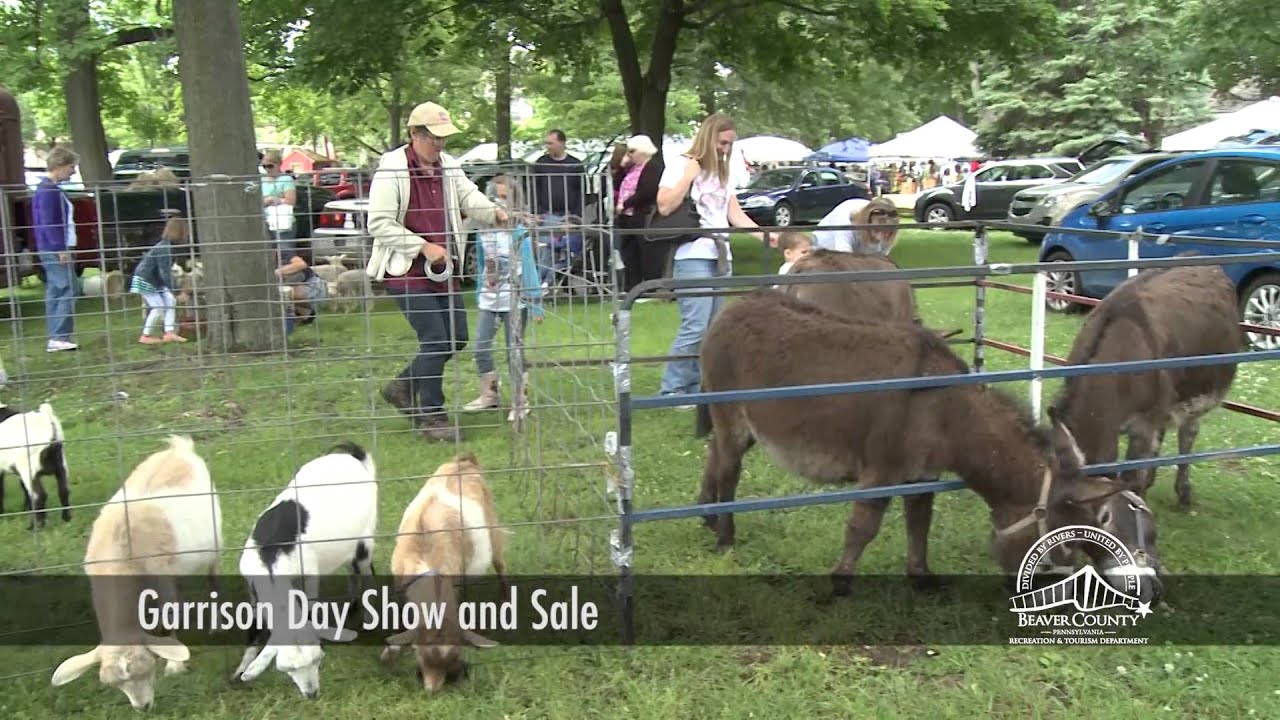 Garrison Day Show and Sale - YouTube