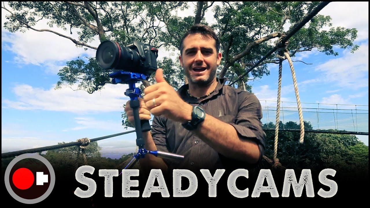 Using a Steadycam to get Smooth Shots in the Canopy: Behind the Scenes ...