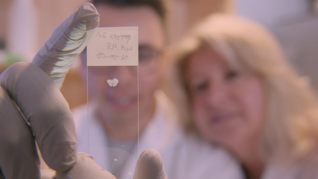 Activating the Brain's Self-Repair Mode - YouTube