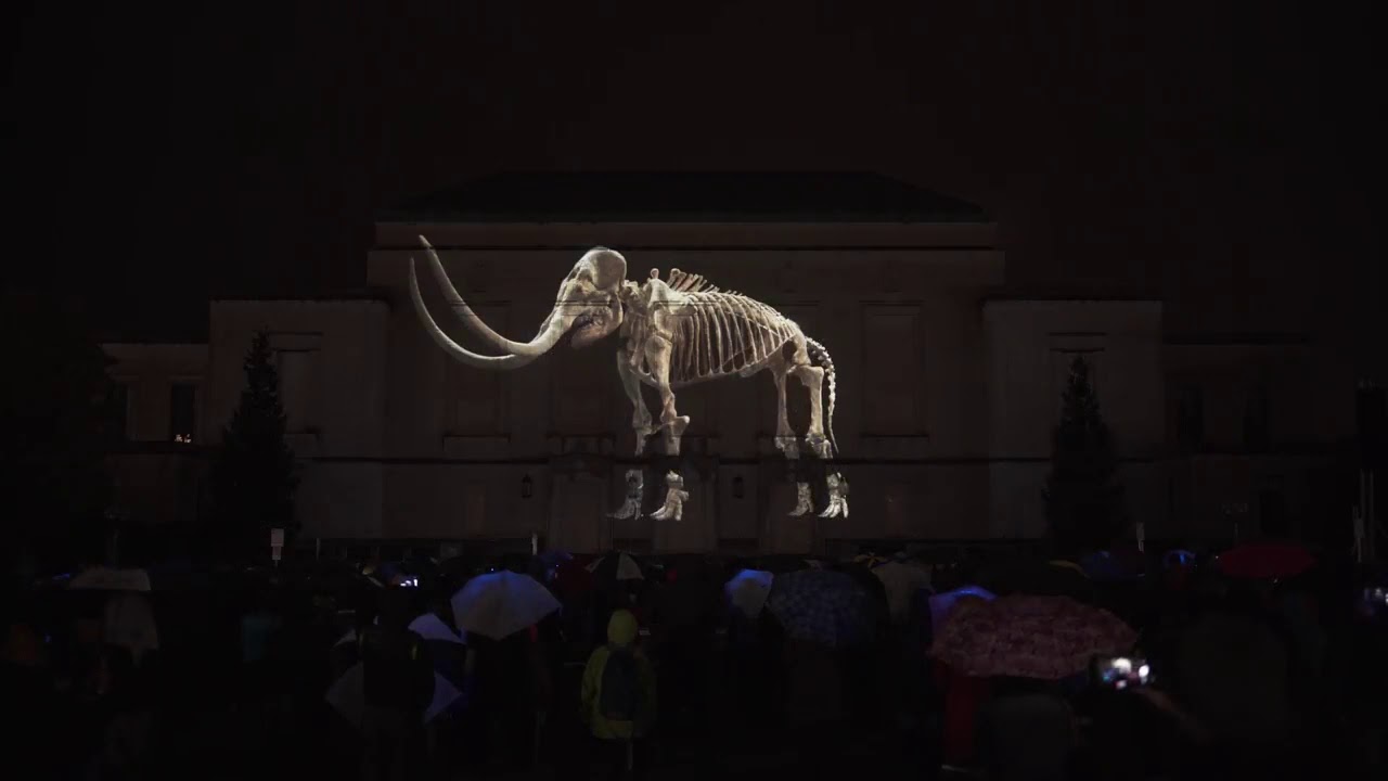 Projection Mapping- Story Example - YouTube