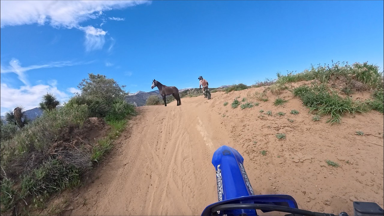 Wild and fun adventure through the desert - YouTube