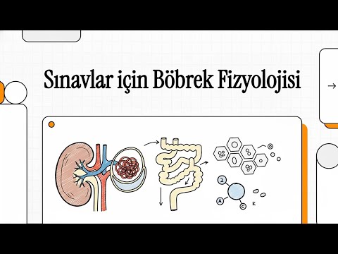 Böbrek Fizyolojisi / Hemşirelik Fizyoloji #konuanlatım