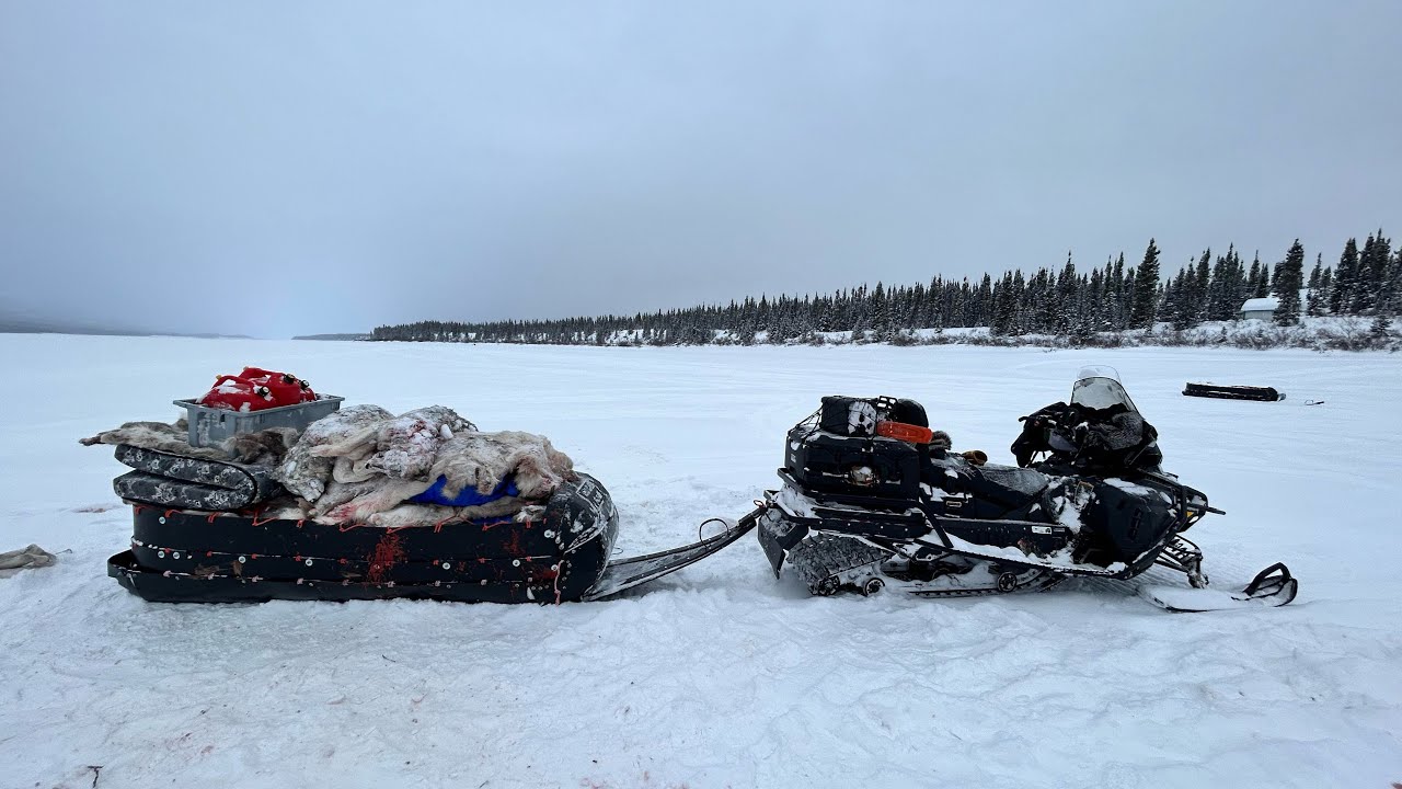 Testimonial Yukon Expedition Sled in Arctic - YouTube