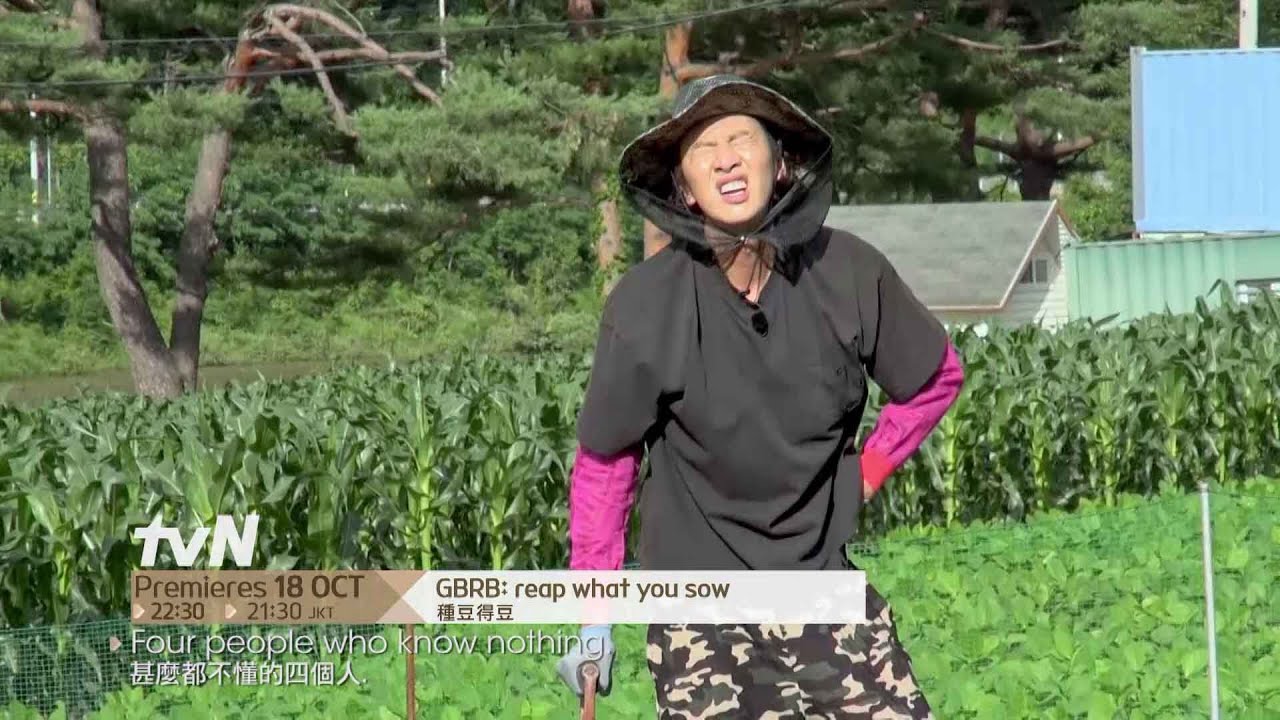 GBRB: Reap What You Sow | 種豆得豆 Teaser 1 - YouTube