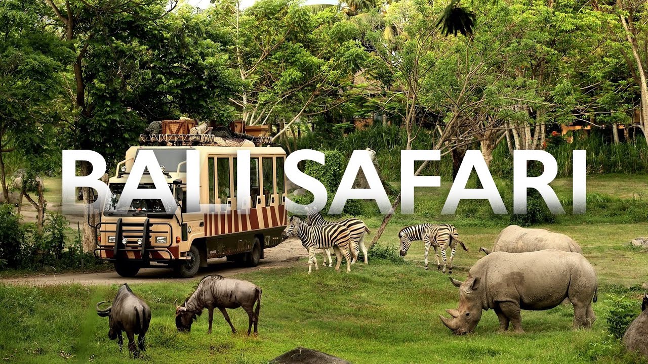UNBELIVABLE BALI SAFARI | Taman Bali Safari & Marine Park Full Tour ...