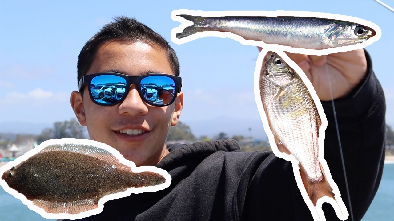 Santa Cruz Wharf Fishing (Summertime) - YouTube