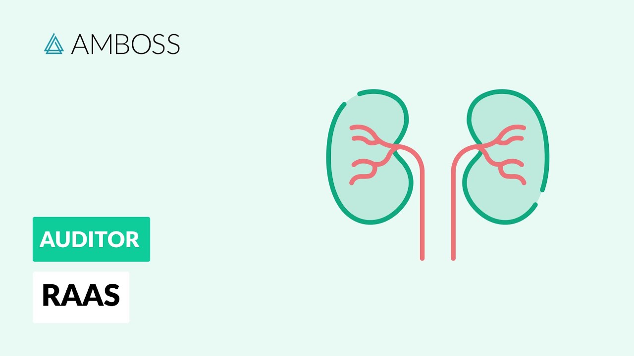 RAAS - Das Renin-Angiotensin-Aldosteron-System - AMBOSS Auditor - YouTube