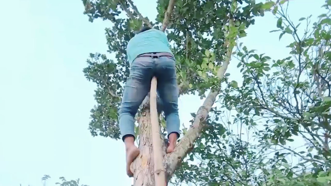 PICHWARA ME DANDA GUSA DIYA . - YouTube