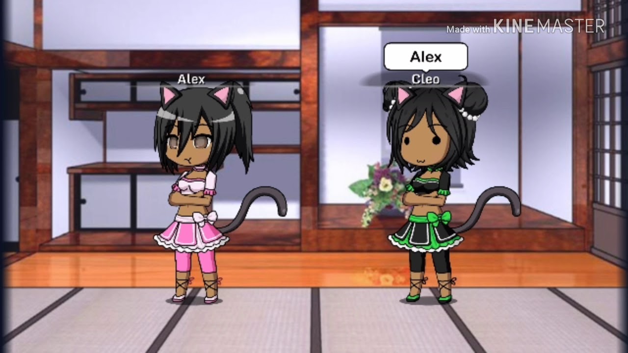 Who's Cooking Tonight? - YouTube