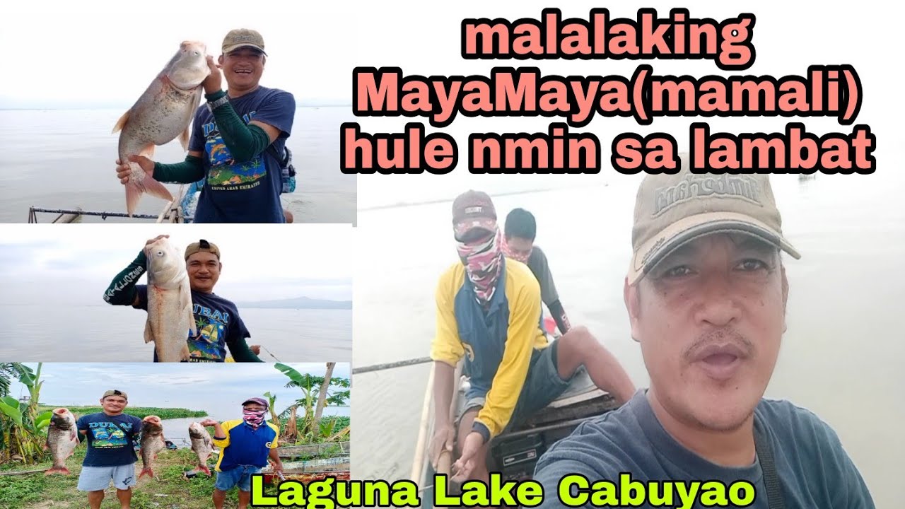 Giant MayaMaya(mamali) fishing sa Lambat(@Laguna Lake, CABUYAO) - YouTube