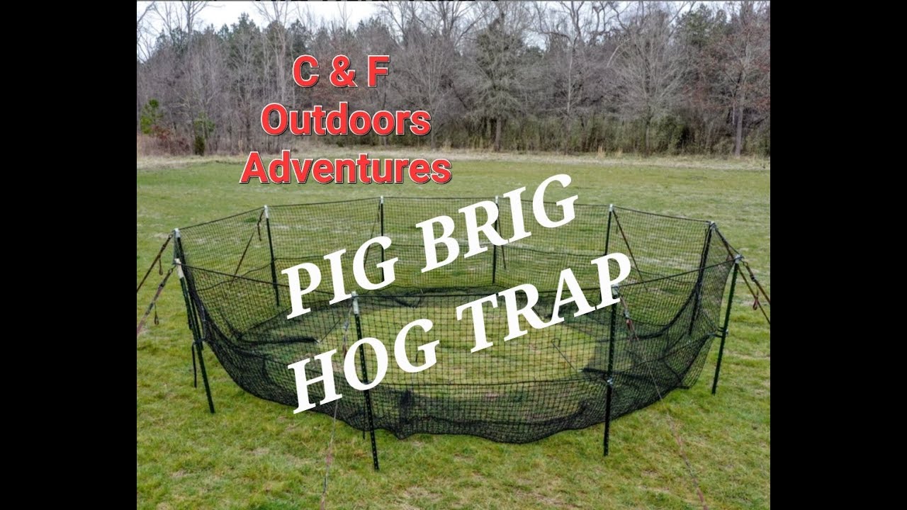 Pig Brig - Hog Trap - AMAZING - YouTube