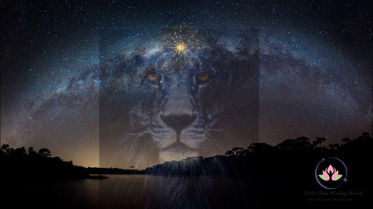 Lions Gate 8 8 Meditation Bella Rose Healing Hands - YouTube