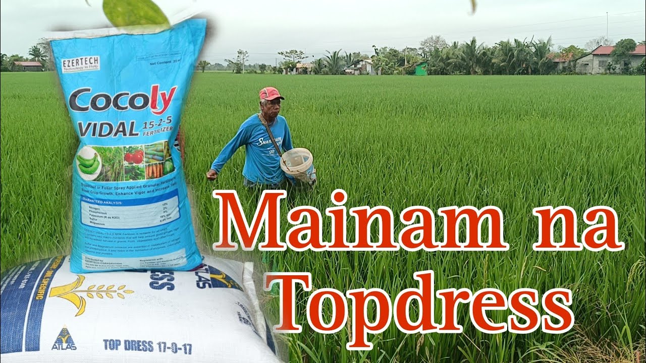 Cocoly VIDAL- First Granular Water Soluble Fertilizer for All Crops ...
