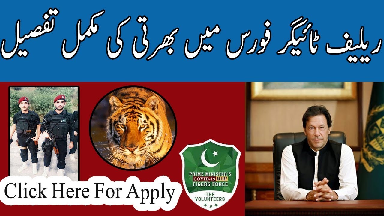 How to Apply Online for Pakistan Tiger Force || Tiger Force ...