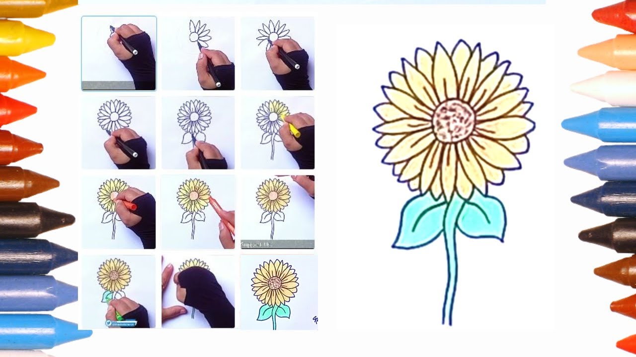 Flower Drawing | How to draw a flower | Colorful Flower Drawing - YouTube