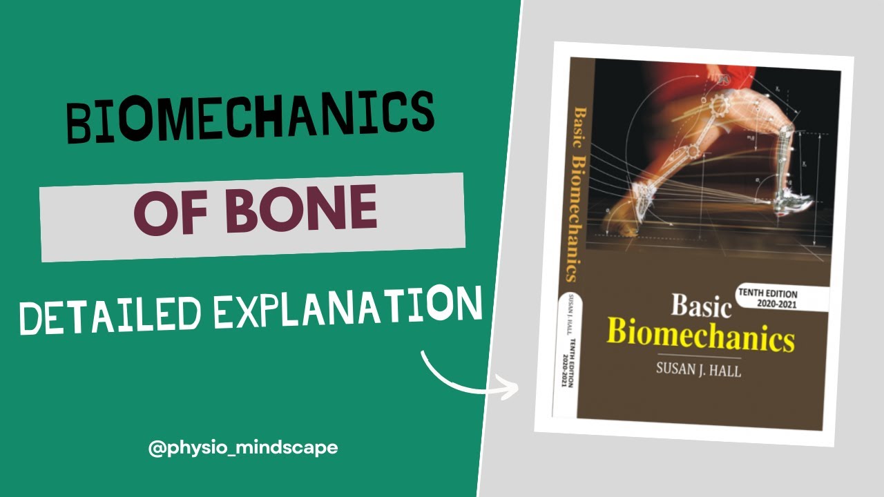 Biomechanics of bone growth and Development | Chapter 4 Part 2 | Basic ...