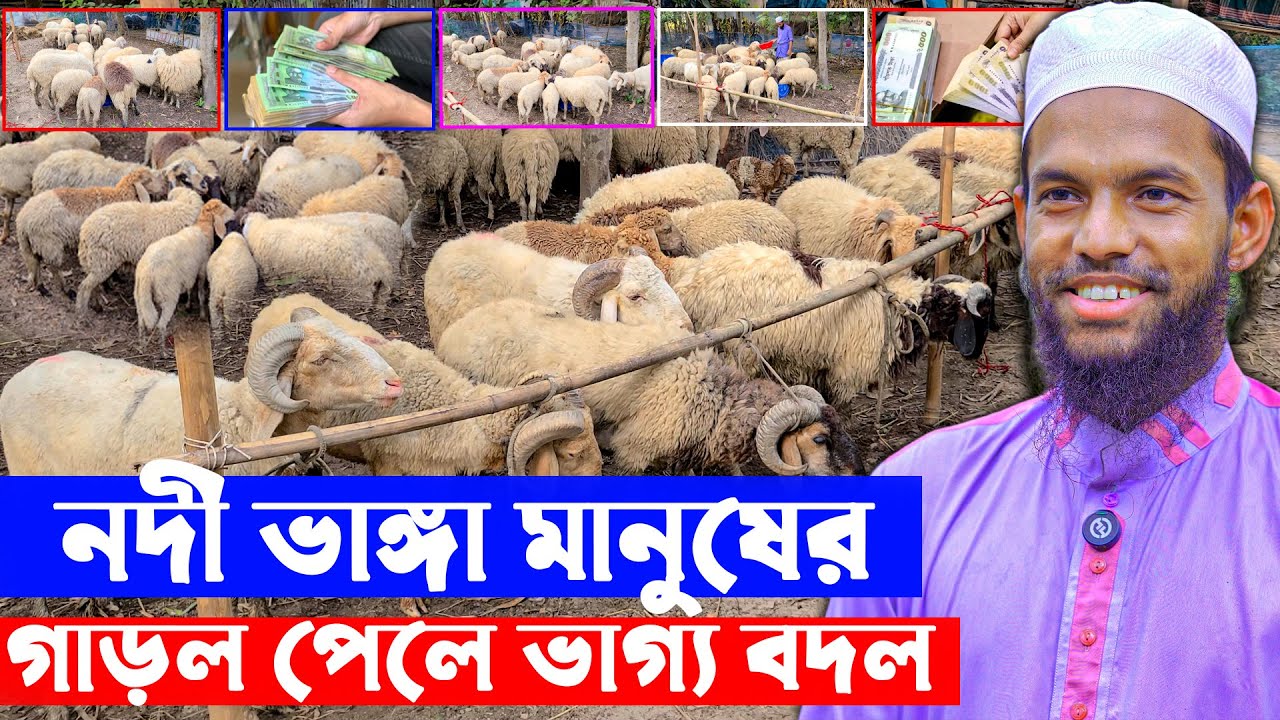 নদী ভাঙ্গনে সব হারিয়ে গারল পালেই সে এখন লাখপতি || প্রতি মাসে আয় ৫০-৬০ হাজার | Soha Agro - সোহা ...