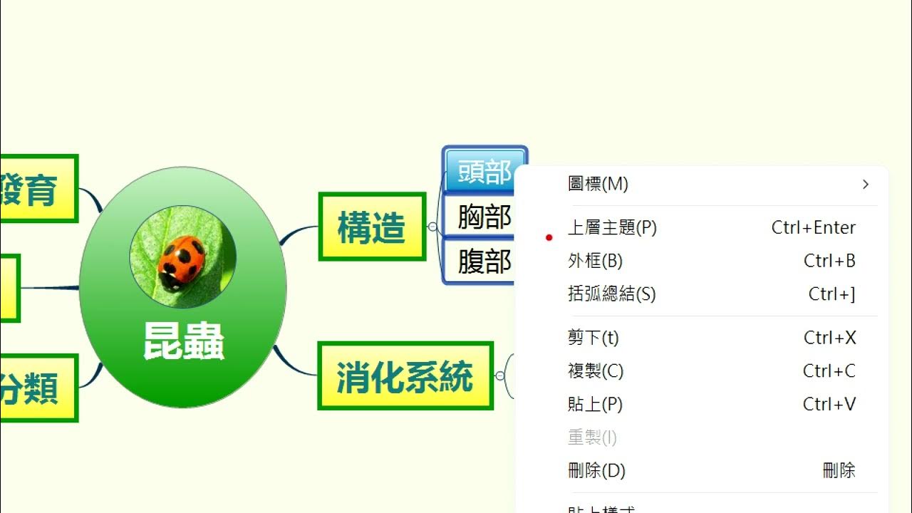 Xmind心智繪圖 A09複製樣式括弧總結做法 - YouTube