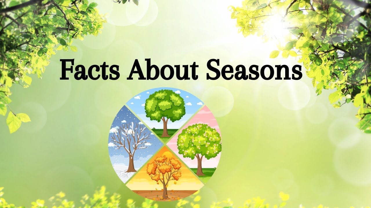 30 Facts about Seasons | Season facts | Entertainment - YouTube