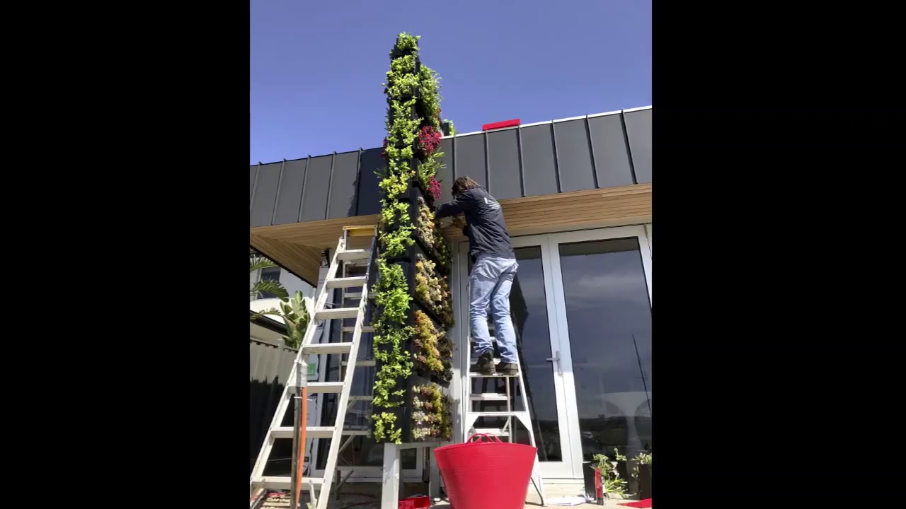Vertical Wall Installation in Martha Cove - YouTube