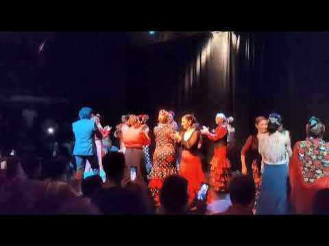 Baile Flamenco. Por tangos y sevillanas! Folclore andaluz. Sala Mediterranea. Nov 2024. - YouTube