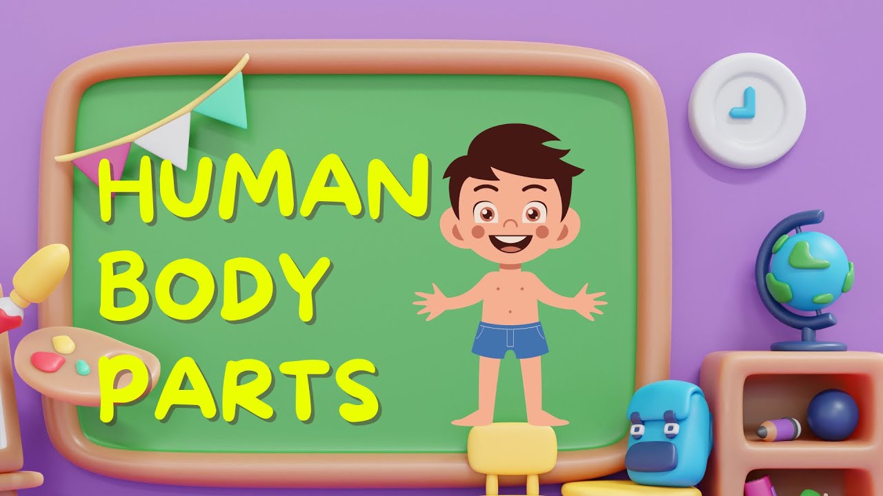Human Body Parts Name | Easy Learning Kids Video - YouTube