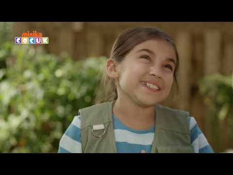 Dino Dana 🦖 | Flamingoları Kurtarmanın Yolları | Minika