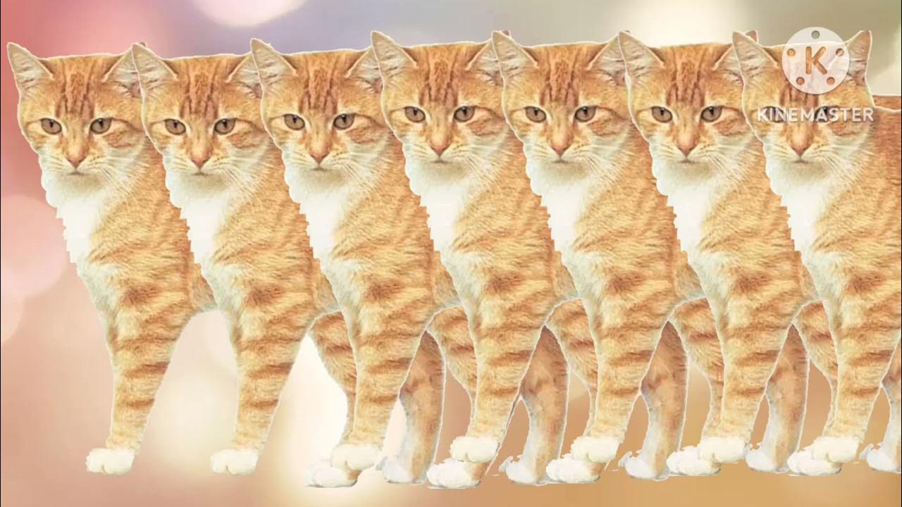 tvokids logo bloopers take 29 cursed blooper - YouTube