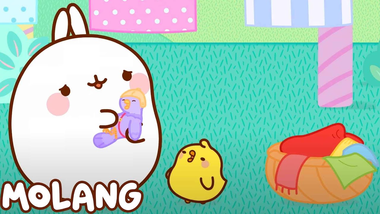 Molang And Piu Piu | The pigeon | Funny Cartoon For Kids - YouTube
