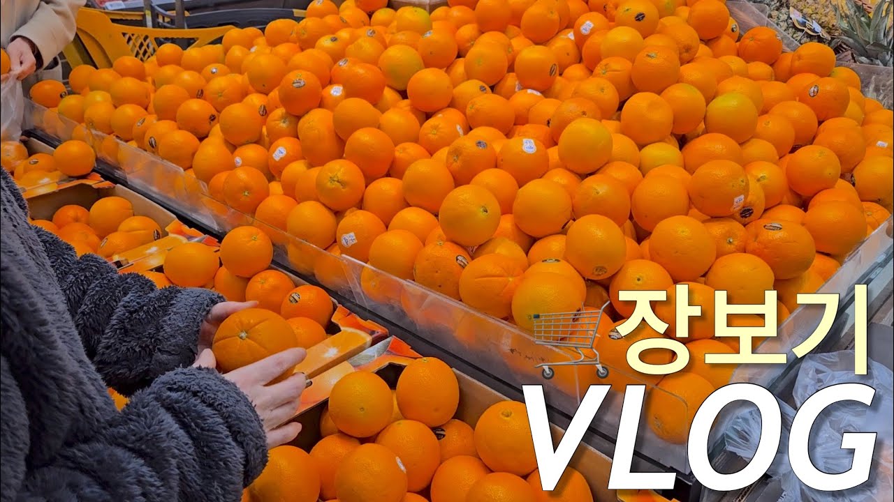 Vlog 물들어올때 장보는 영상 영끌해온 장보기 브이로그 코스트코 트레이더스 이마트 노브랜드 다이소 올리브영 장보기