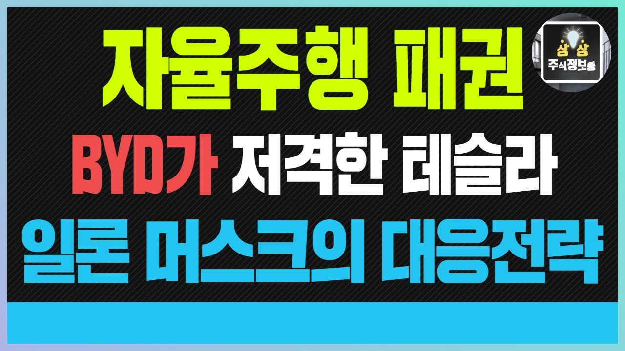 넥스트칩 넥스트칩주가전망 자율주행 패권 Byd가 저격한 테슬라 일론 머스크의 대응 전략 넥스트칩주가넥스트칩주가전망 자율주행