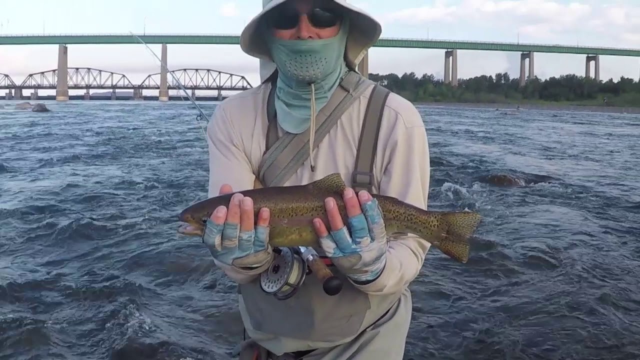 Sault Rapids July 2020; Sault Rapids; Sault Fly Fishing; Sault Rapids ...