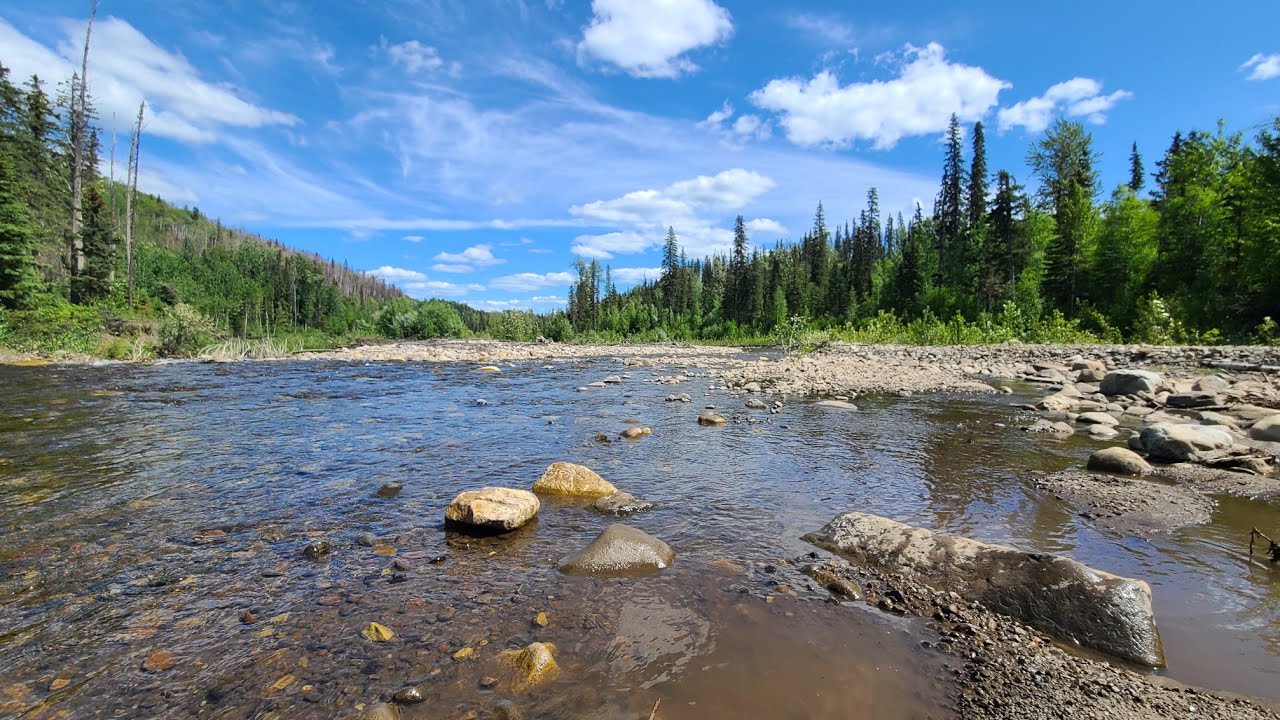 Rock Collecting on the Creek - YouTube