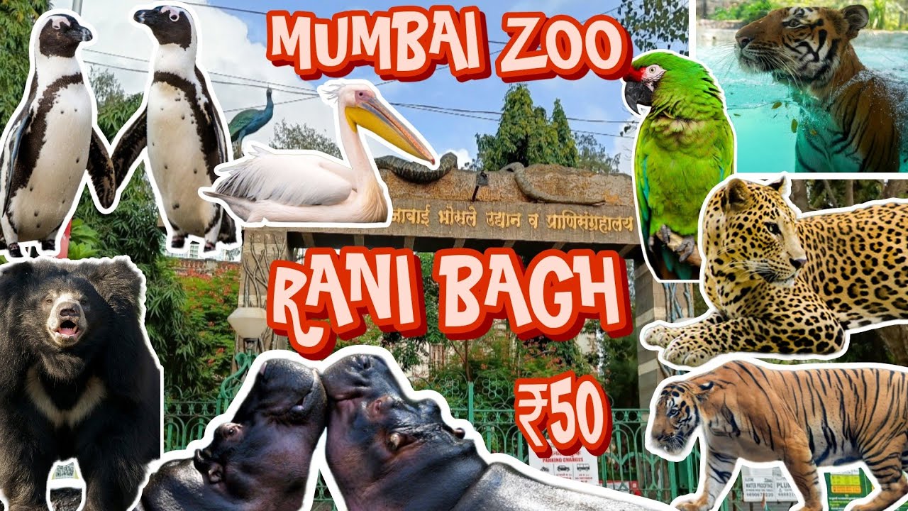 MUMBAI ZOO | COMPLETE TOUR OF RANI BAGH 2023 | BYCULLA ZOO | SEPTEMBER ...