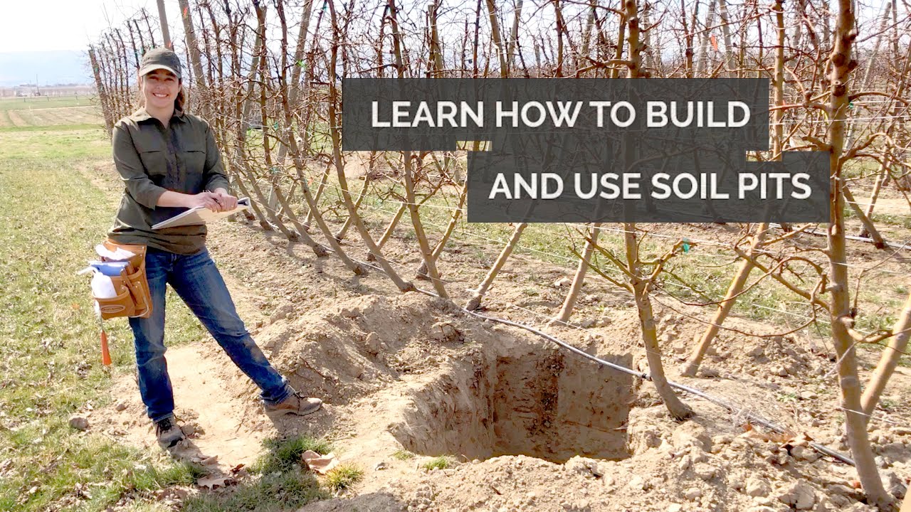 How to build a soil pit to evaluate and improve your apple orchard ...