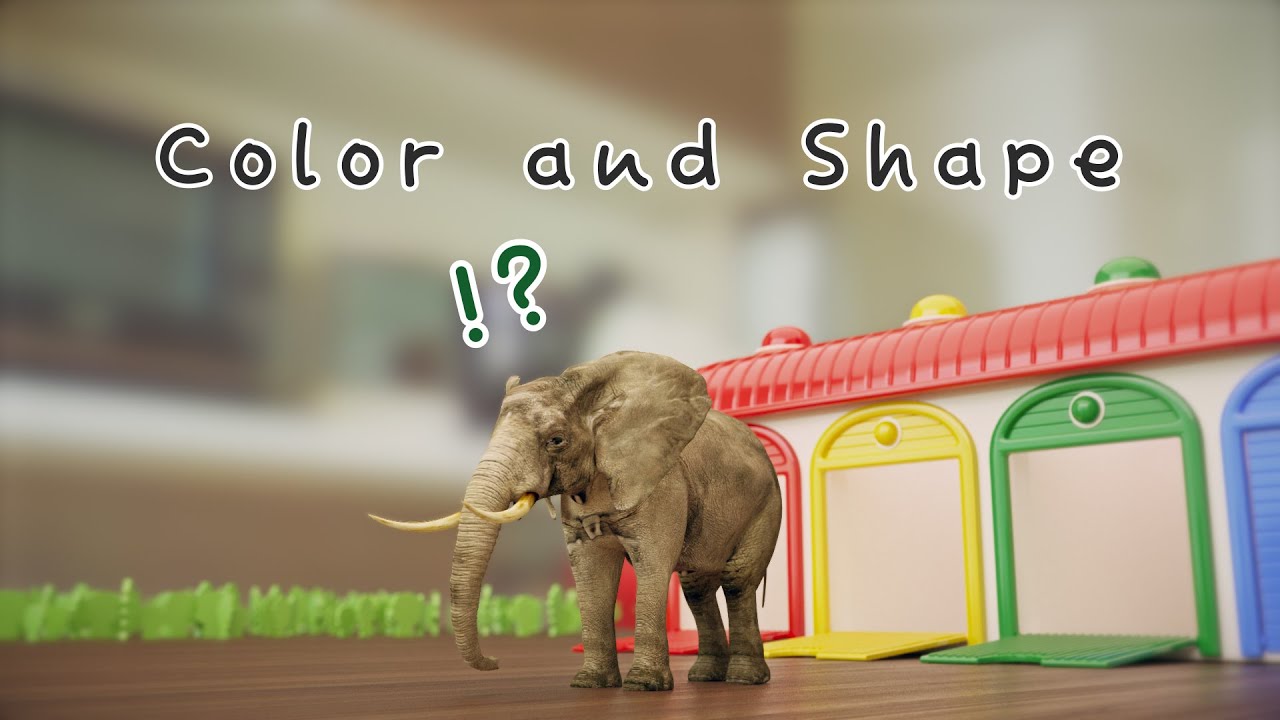 Color and Shape 【Cars | Elephant | track | fun】 - YouTube
