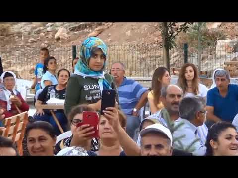 Mehmet BALAMAN - Sen Gelmezsen Arguvana Gidemem