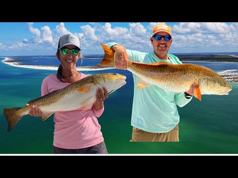 Using Live Bait to catch BIG Red Fish - YouTube