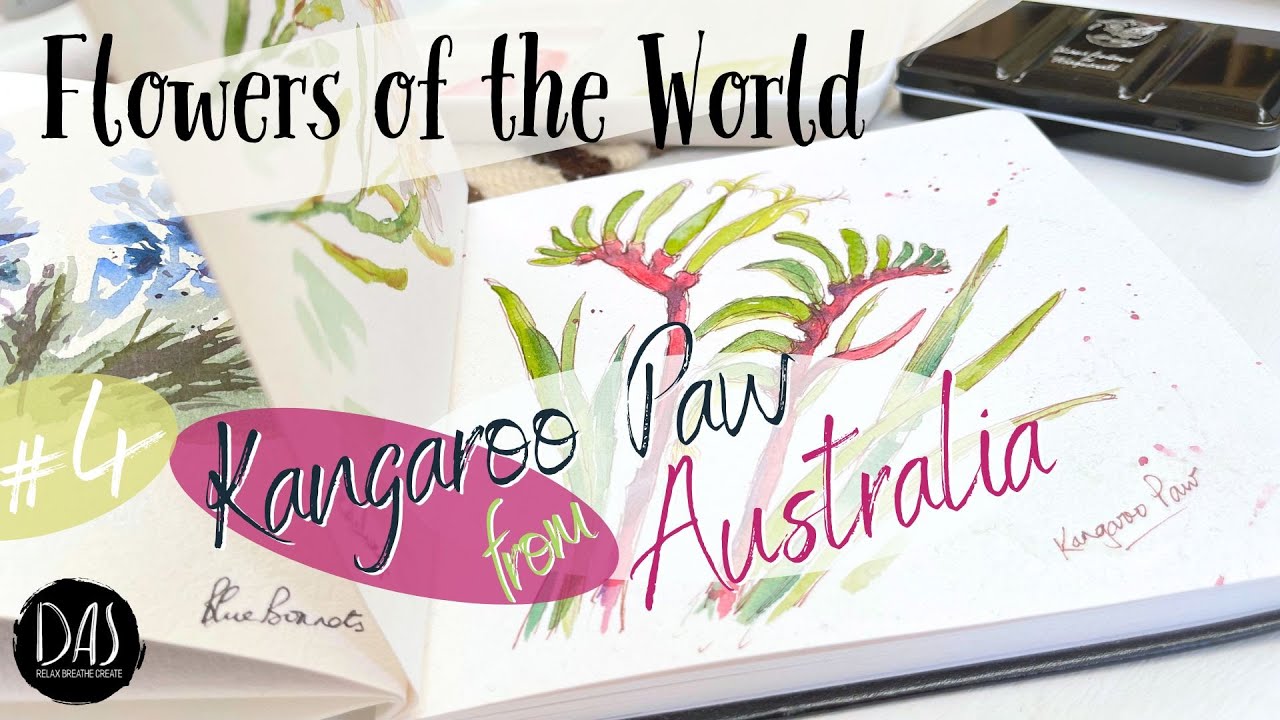Tutorials using Diane Antone x VHAquarell Watercolors | Diane Antone Studio
